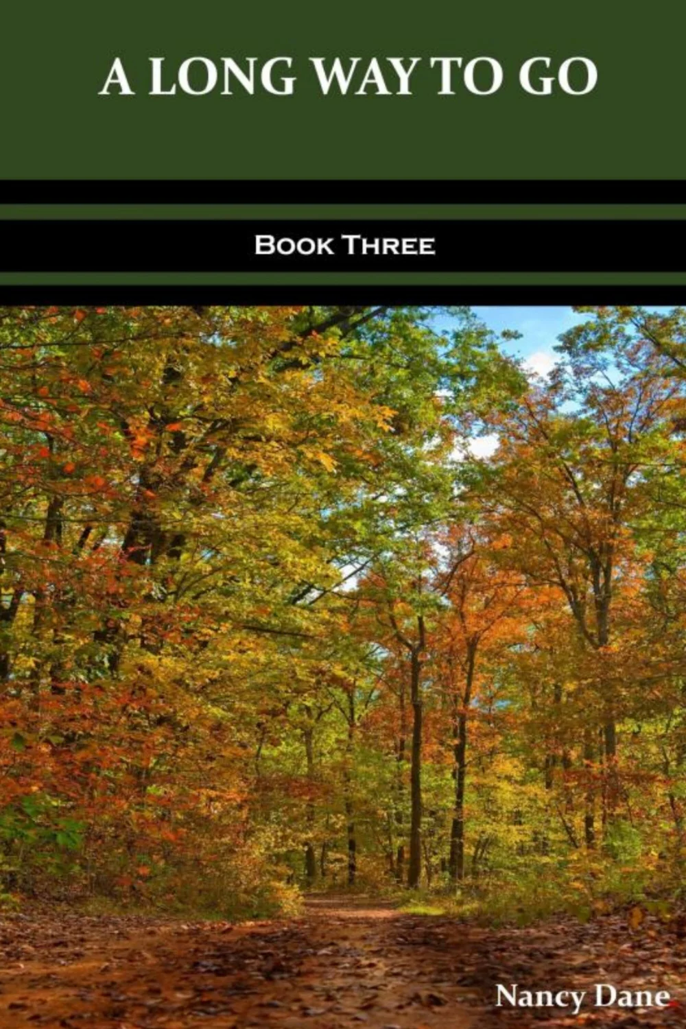 Book Store — Nancy Dane