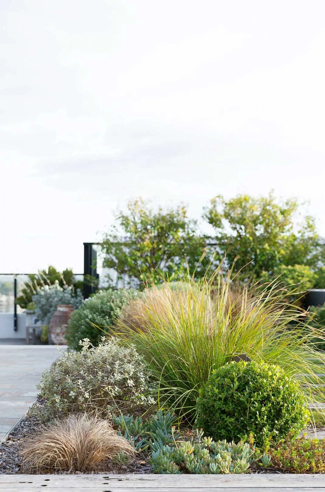 Rozelle — Garden Society