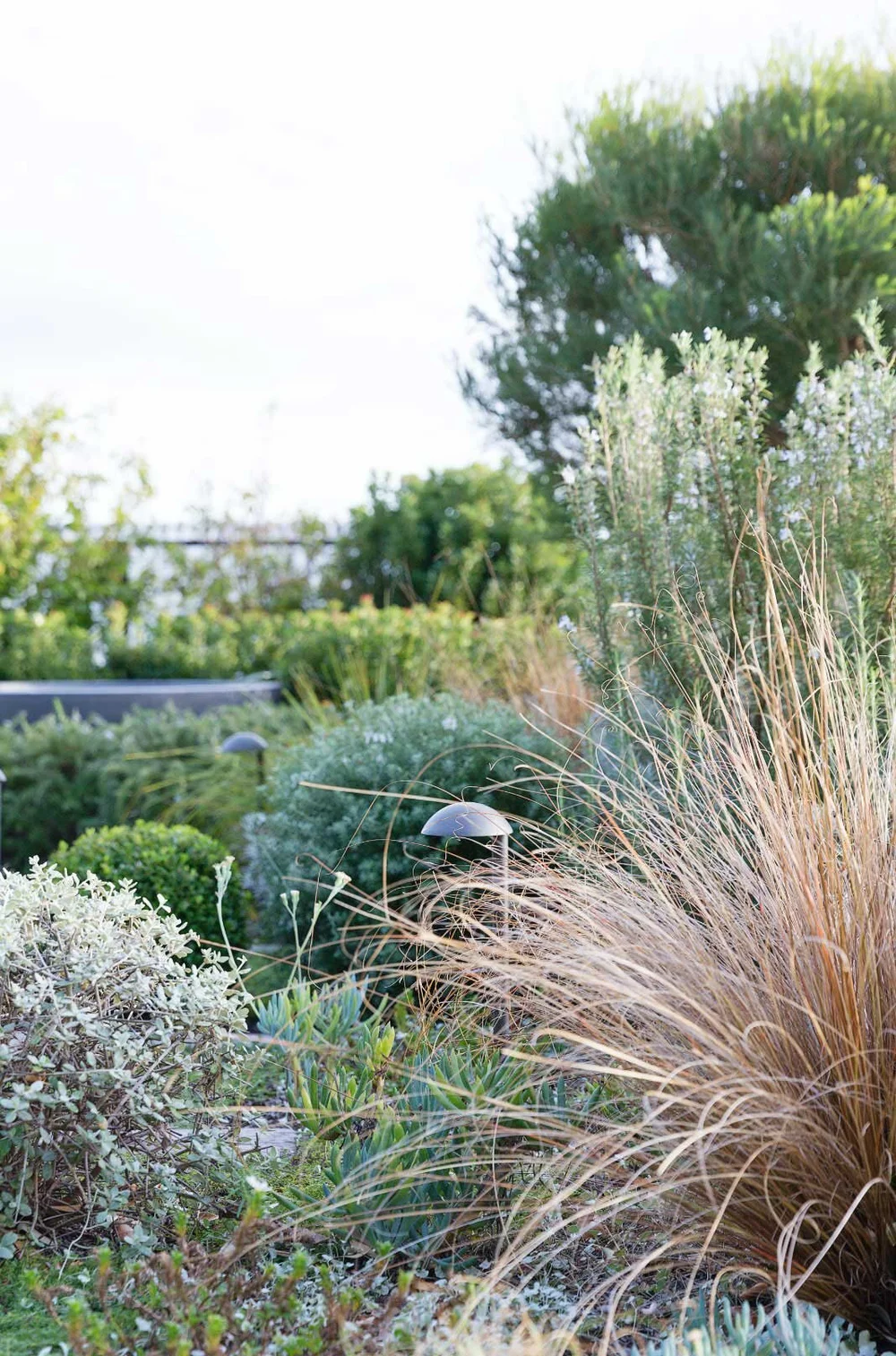 Rozelle — Garden Society