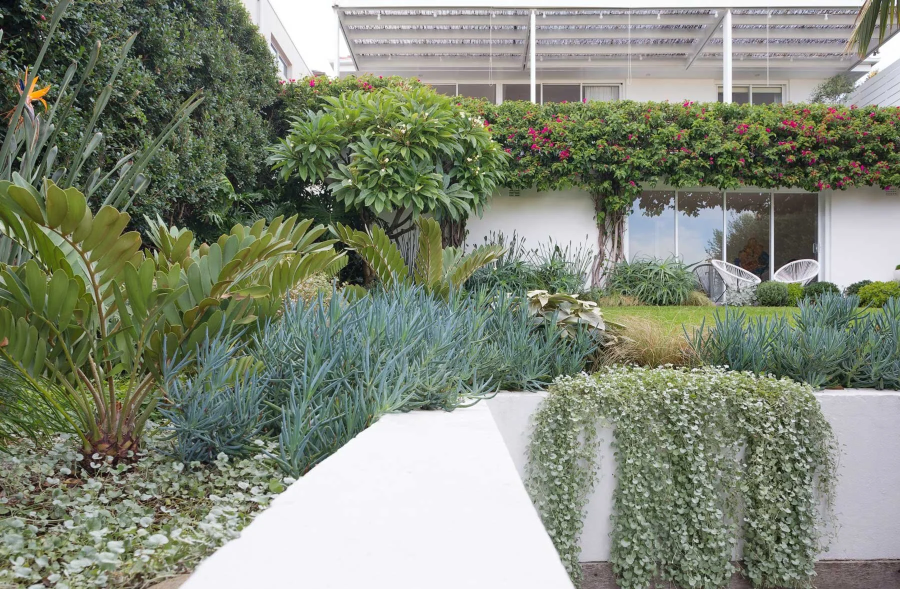 Dover Heights — Garden Society