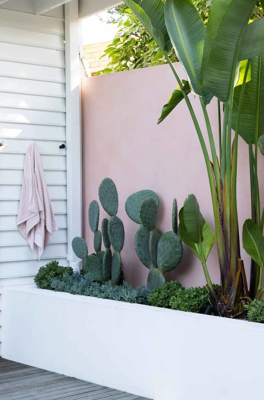 Rozelle — Garden Society