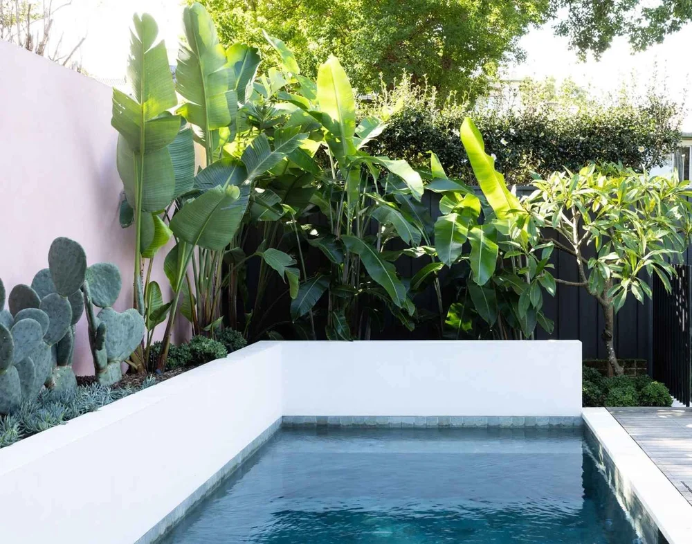 Rozelle — Garden Society
