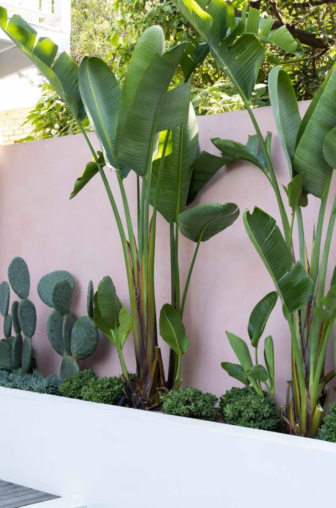 Rozelle — Garden Society