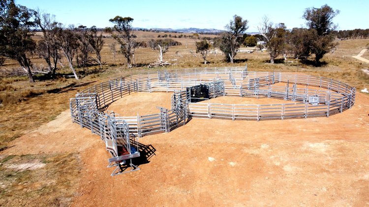 Cattle & Sheep Yard Plans — M&M Stockyards | Building Quality ...
