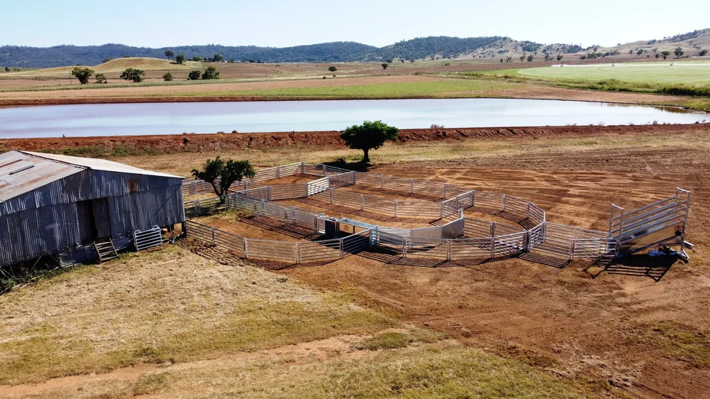 Sheep Yards — M&M Stockyards | Building Quality Australian Stockyards ...