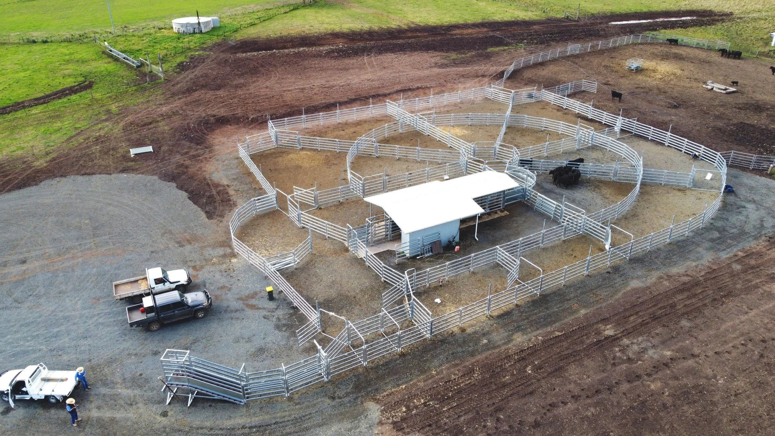 Cattle Yards — M&M Stockyards | Building Quality Australian Stockyards ...