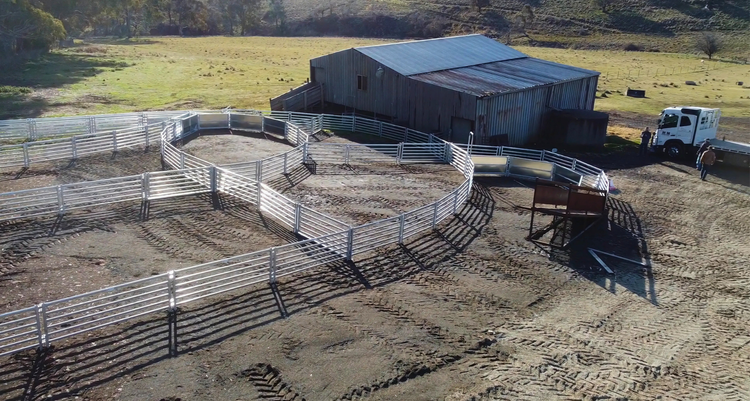 Sheep Yards — M&M Stockyards | Building Quality Australian Stockyards ...