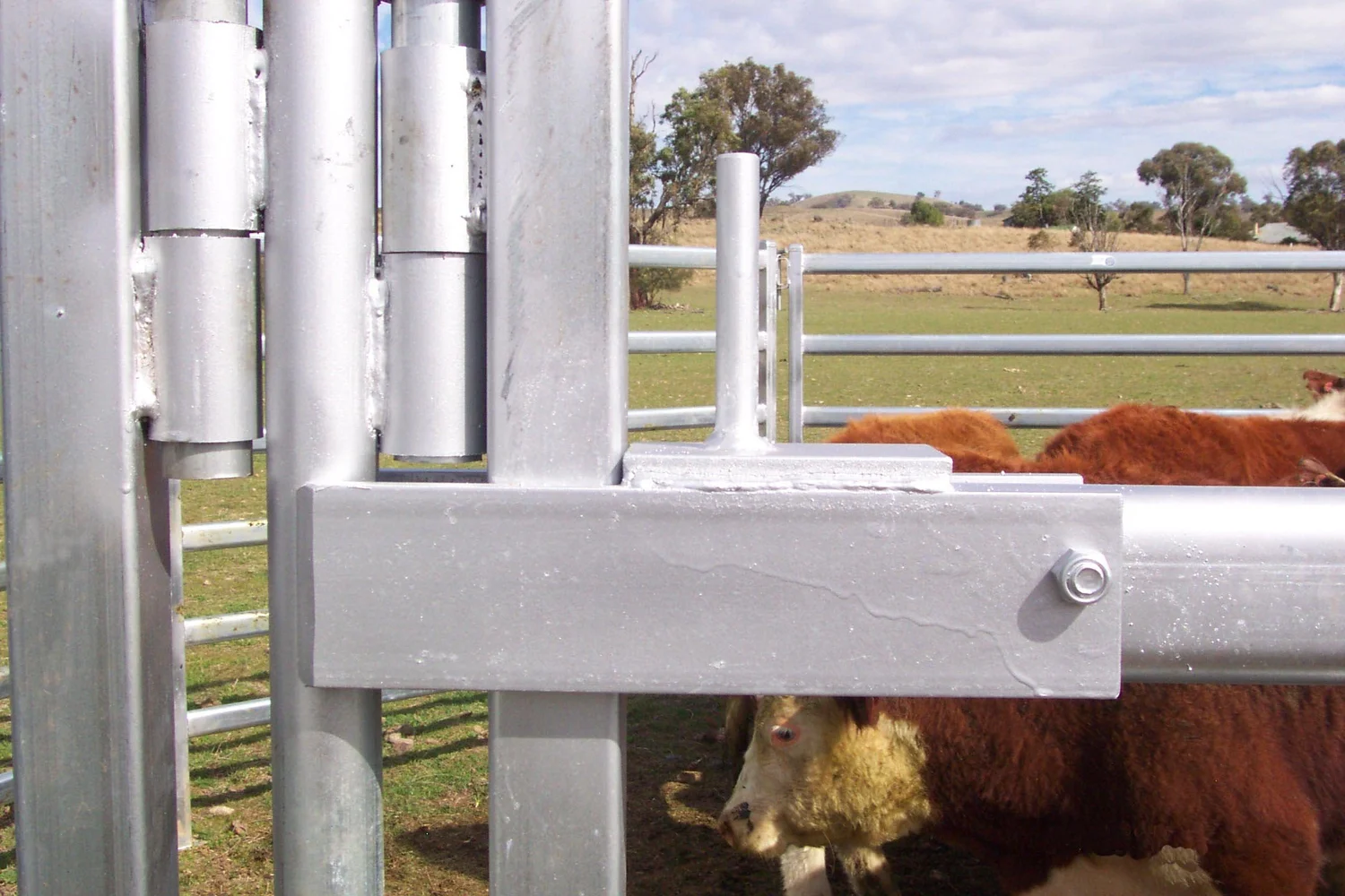 Cattle Yard Components — M&M Stockyards | Building Quality Australian ...
