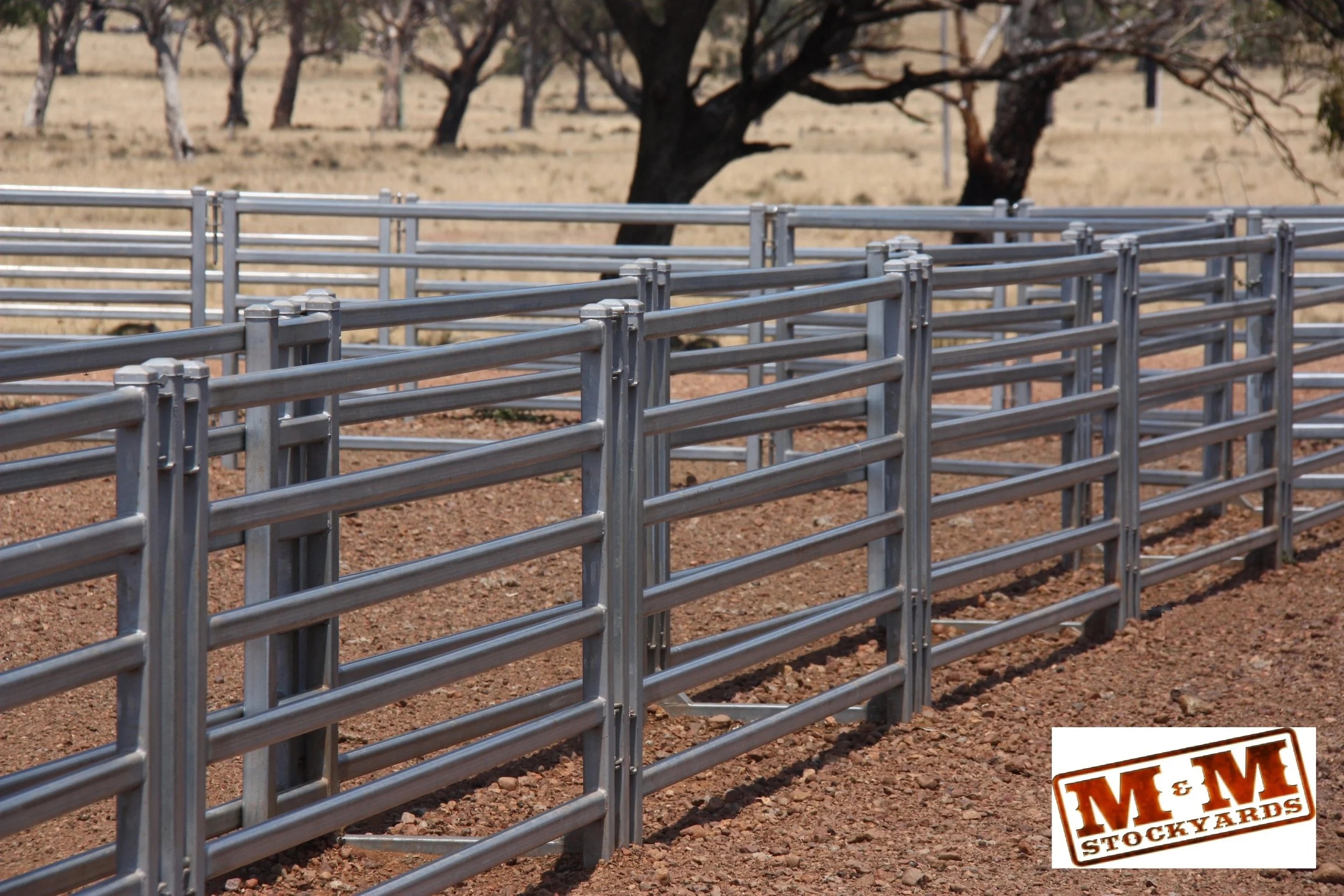 Sheep Yard Components — M&M Stockyards | Building Quality Australian ...