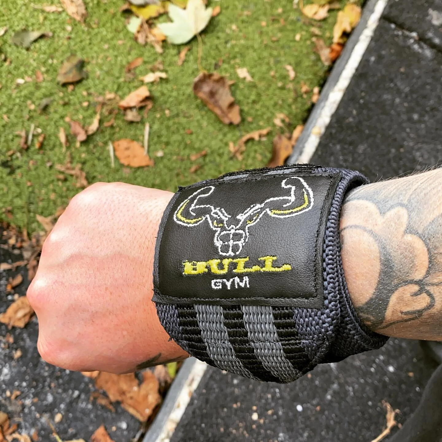 Bull Gym