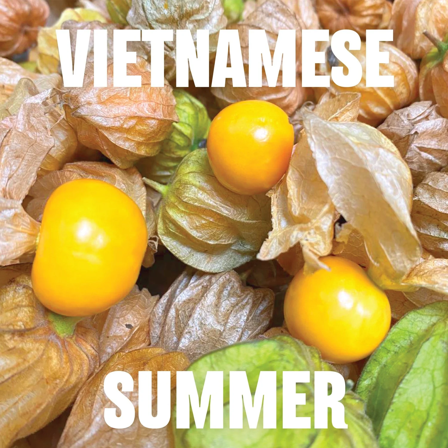 Inside MÙA Craft Sake, Vietnam’s first craft sake brewery — Jovel Chan