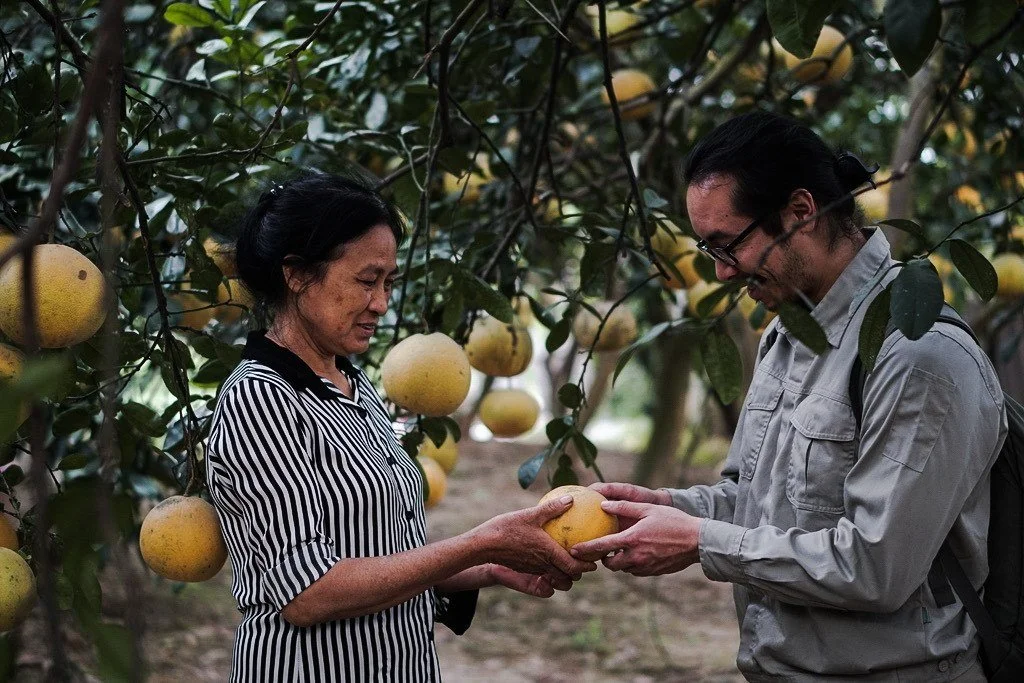 A Vietnamese Spirit Uncorked: A Deep Dive with Daniel Nguyen of Song ...