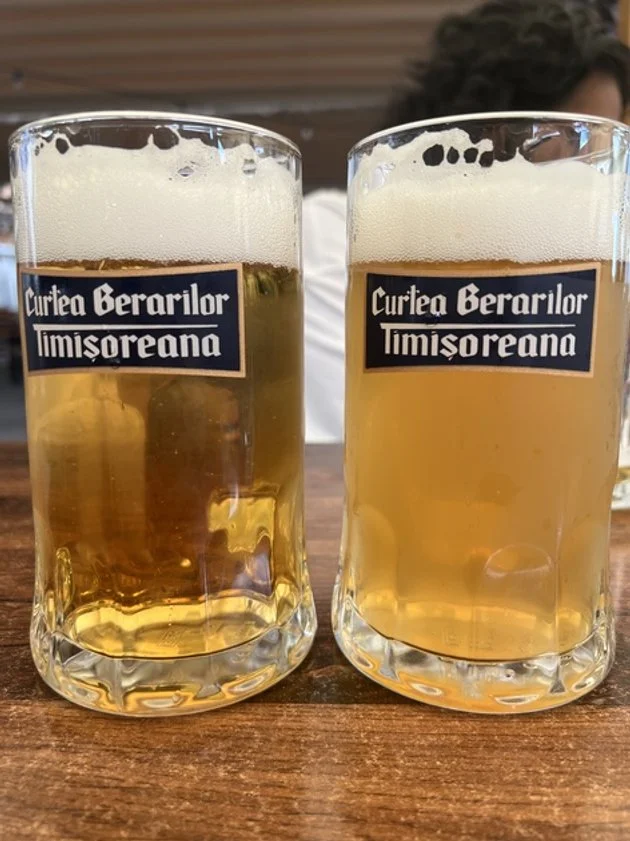 10 Top Things to Do in Timisoara, Romania