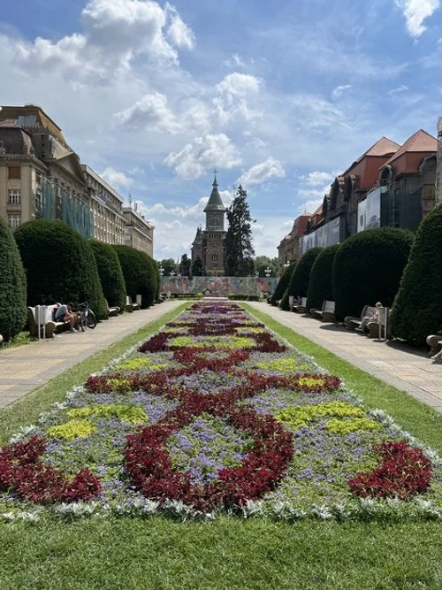 10 Top Things to Do in Timisoara, Romania