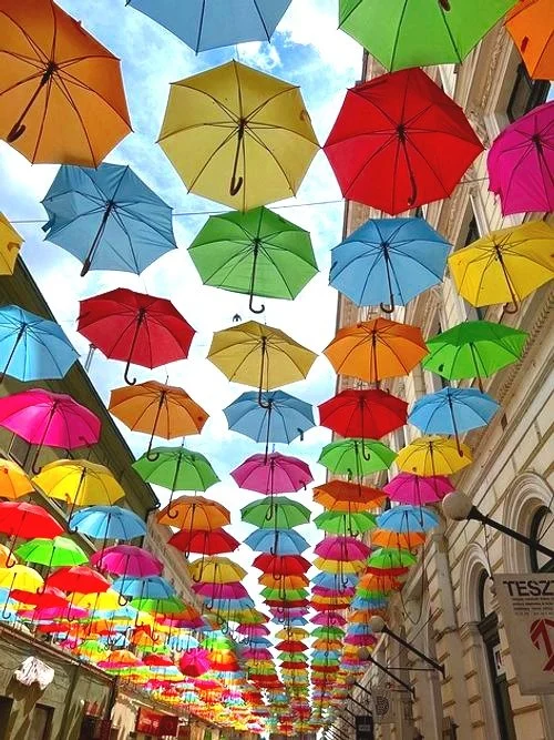 10 Top Things to Do in Timisoara, Romania
