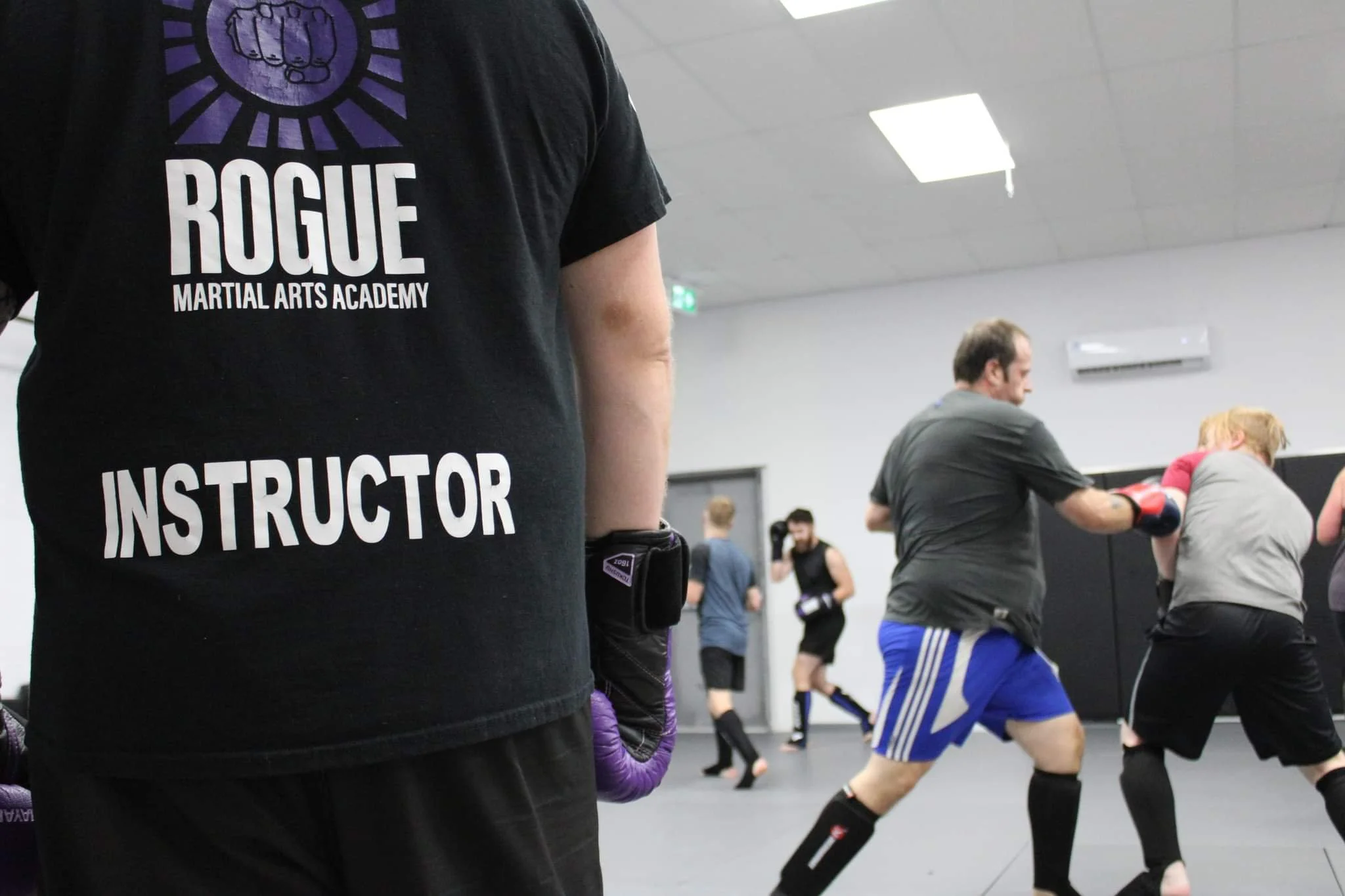 Rogue Martial Arts Academy