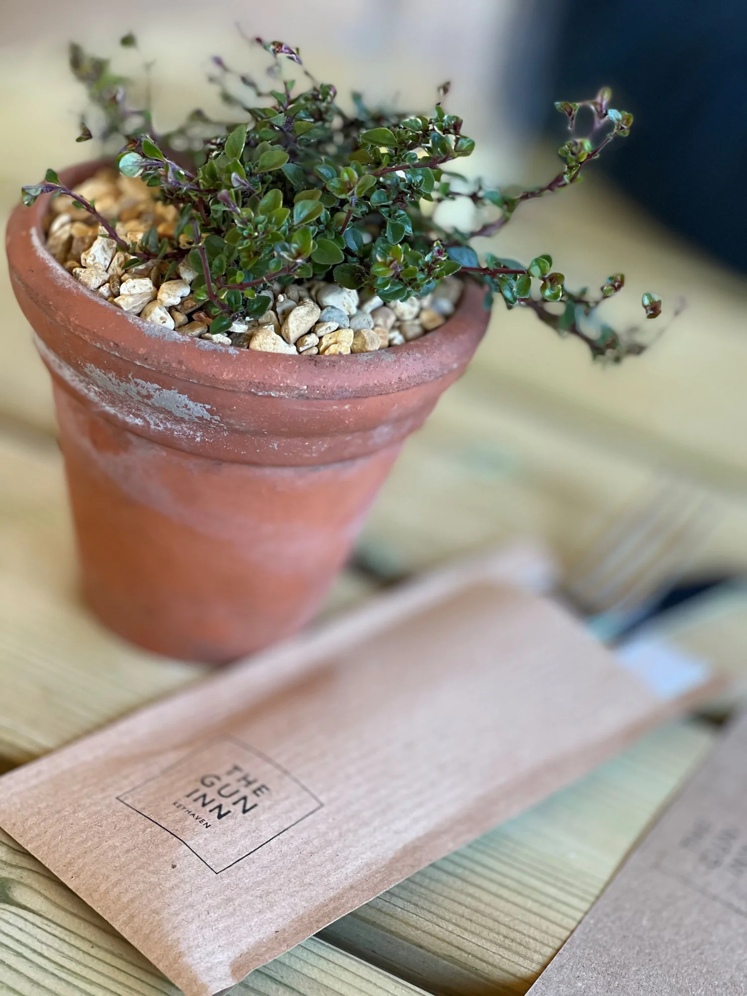 Gallery — The Gun Inn