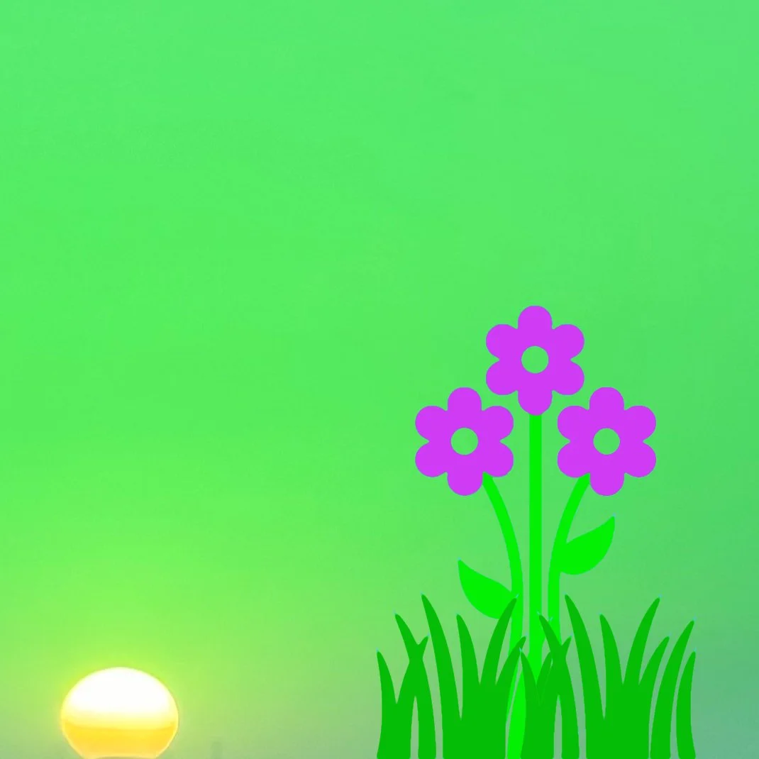 Mini-Workshop - Renewal — Santa Rosa BPI