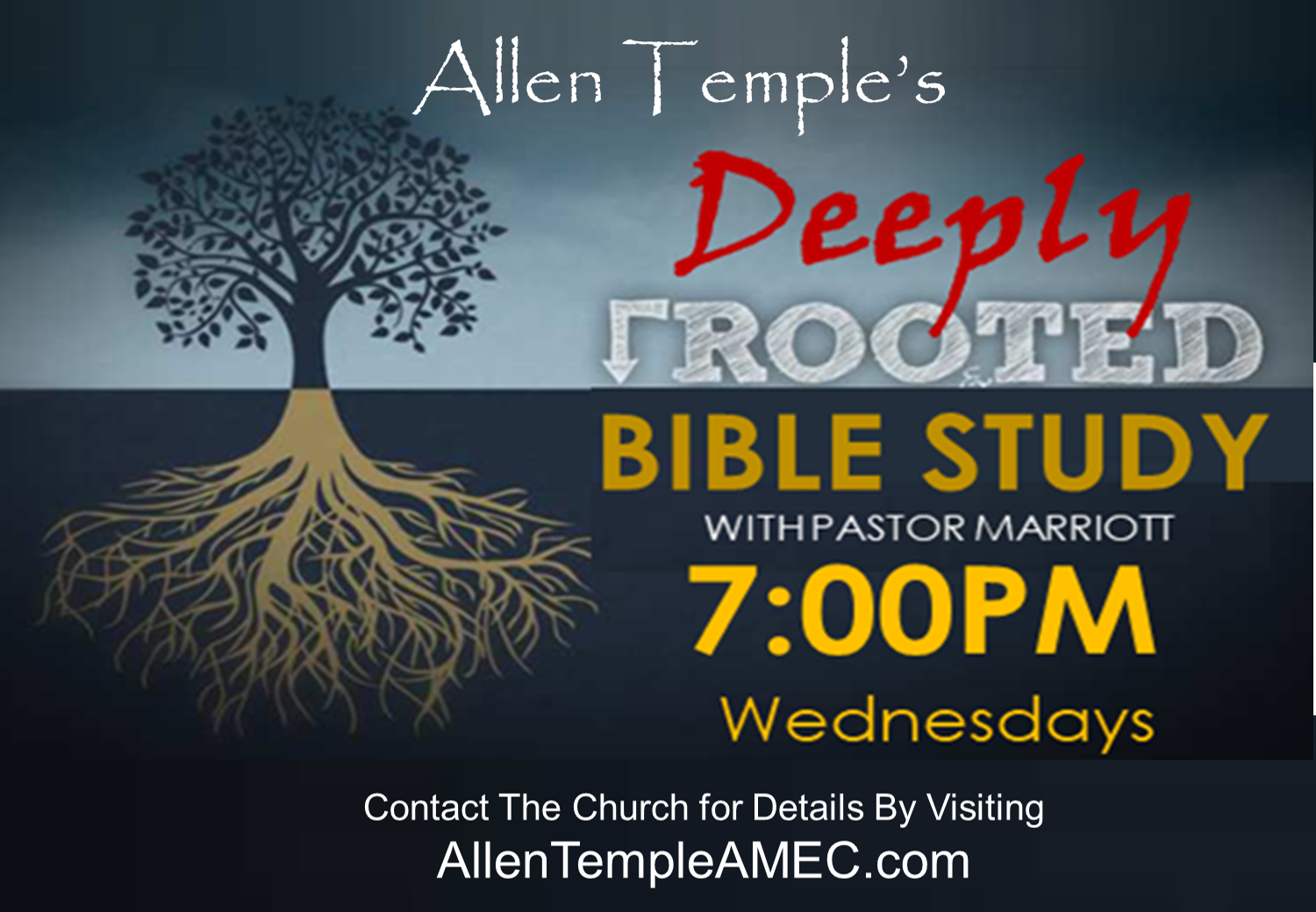 Deeply Rooted Bible Study — Allen Temple AME Church