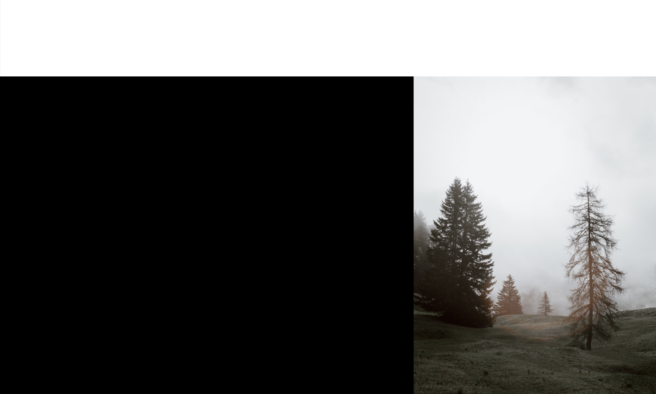 ANNETTE FROST-JENSEN