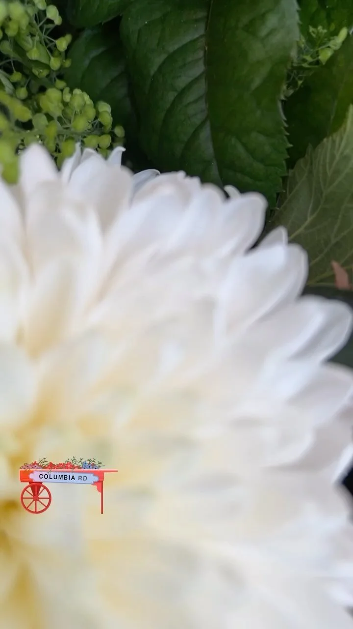 Columbia Road - London's Finest Flower Market