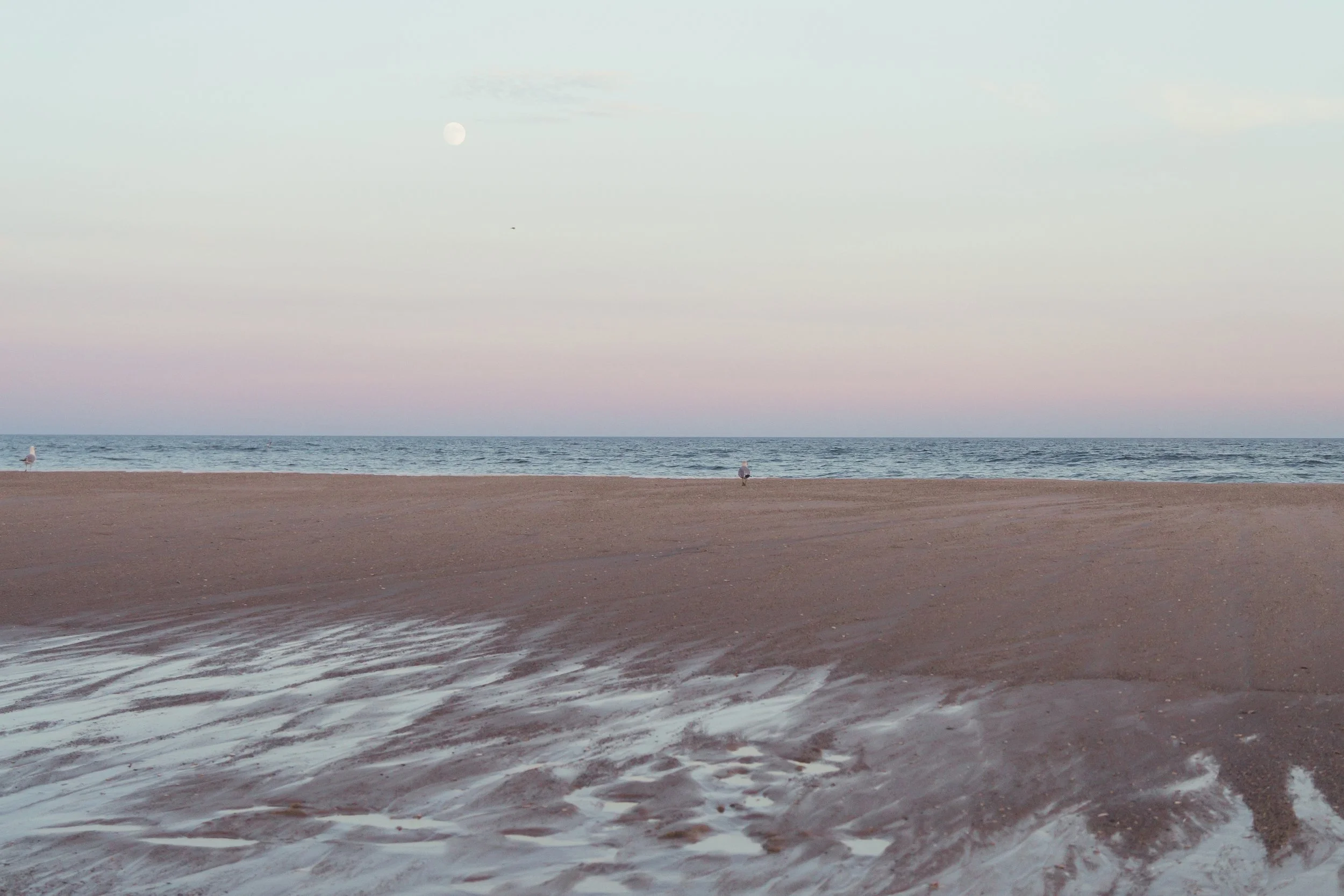 Maria Wurtz Photography