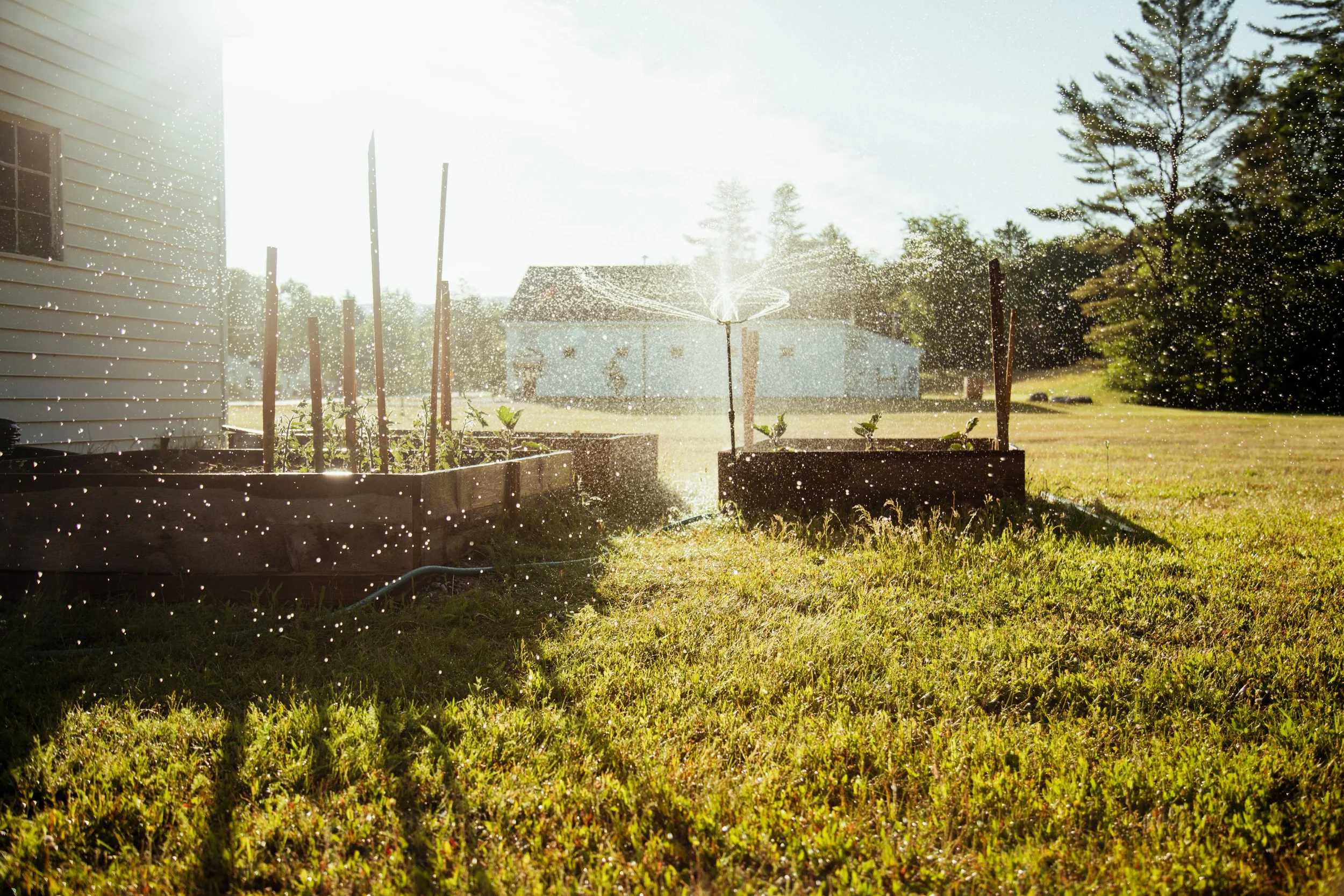 Maria Wurtz Photography