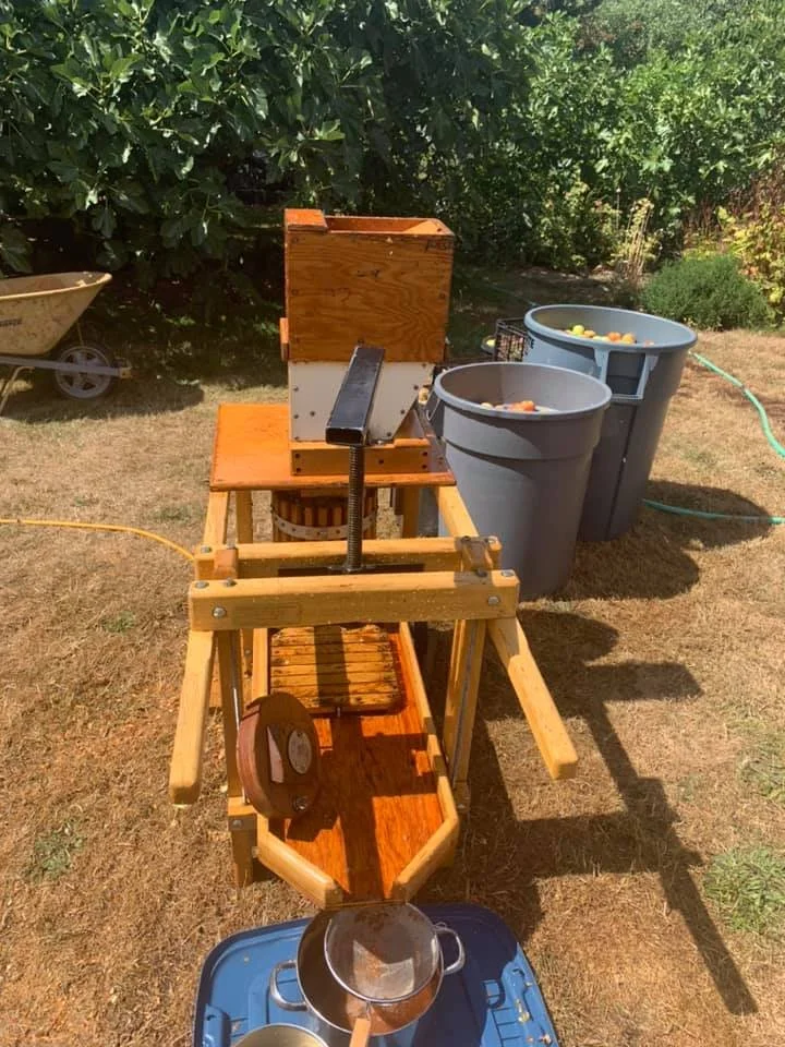 Scratching The Surface: Watercore, Codling Moth, Bruising, Oh my ...