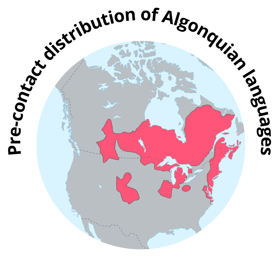 Pick A Peck Of Pretty Persimmons — Home Orchard Education Center