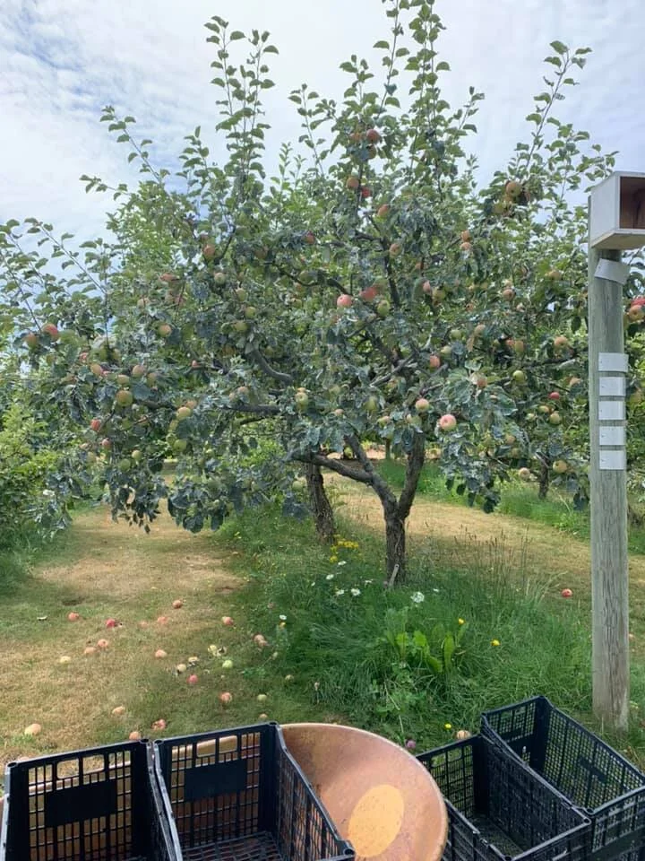 Home Orchard Education Center — Home Page