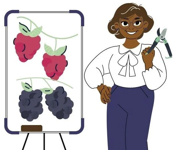 Caneberries, Bat-ology, & Druplets! — Home Orchard Education Center