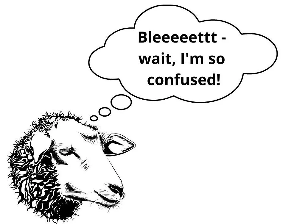 Medlar: Ancient, Delicious, and…Rotten? — Home Orchard Education Center