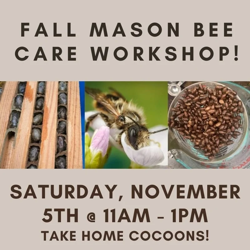 Home Orchard Education Center Arboretum BLOG — Home Orchard Education ...