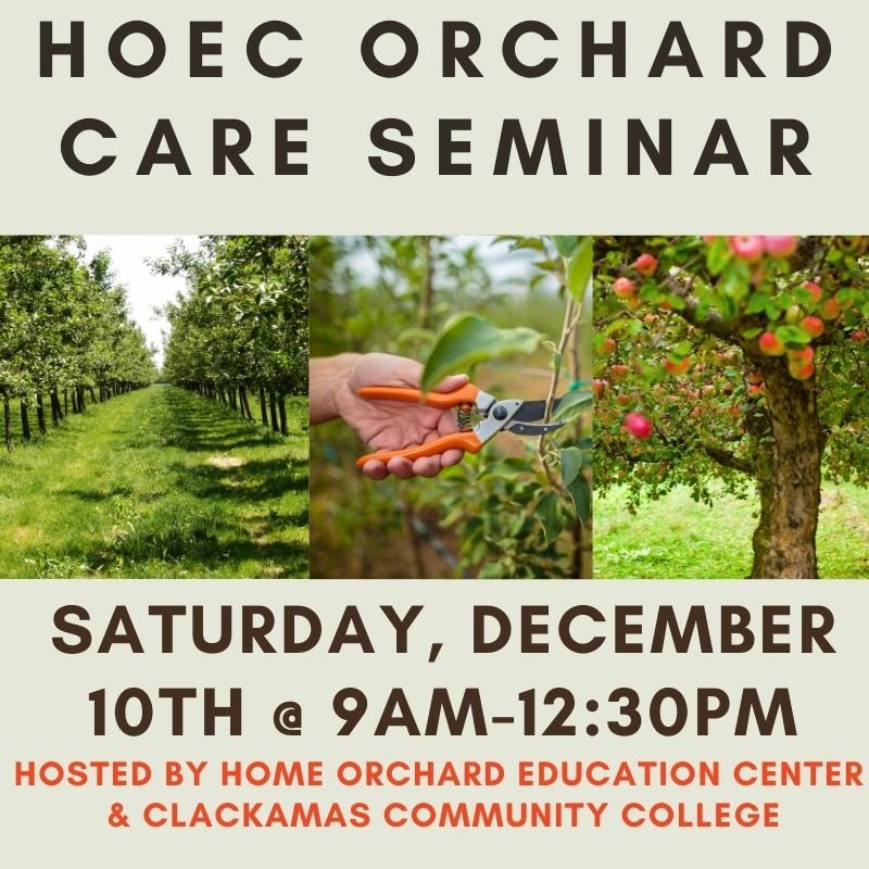 Fruit Tree Site Selection, Planting, & Aftercare — Home Orchard ...