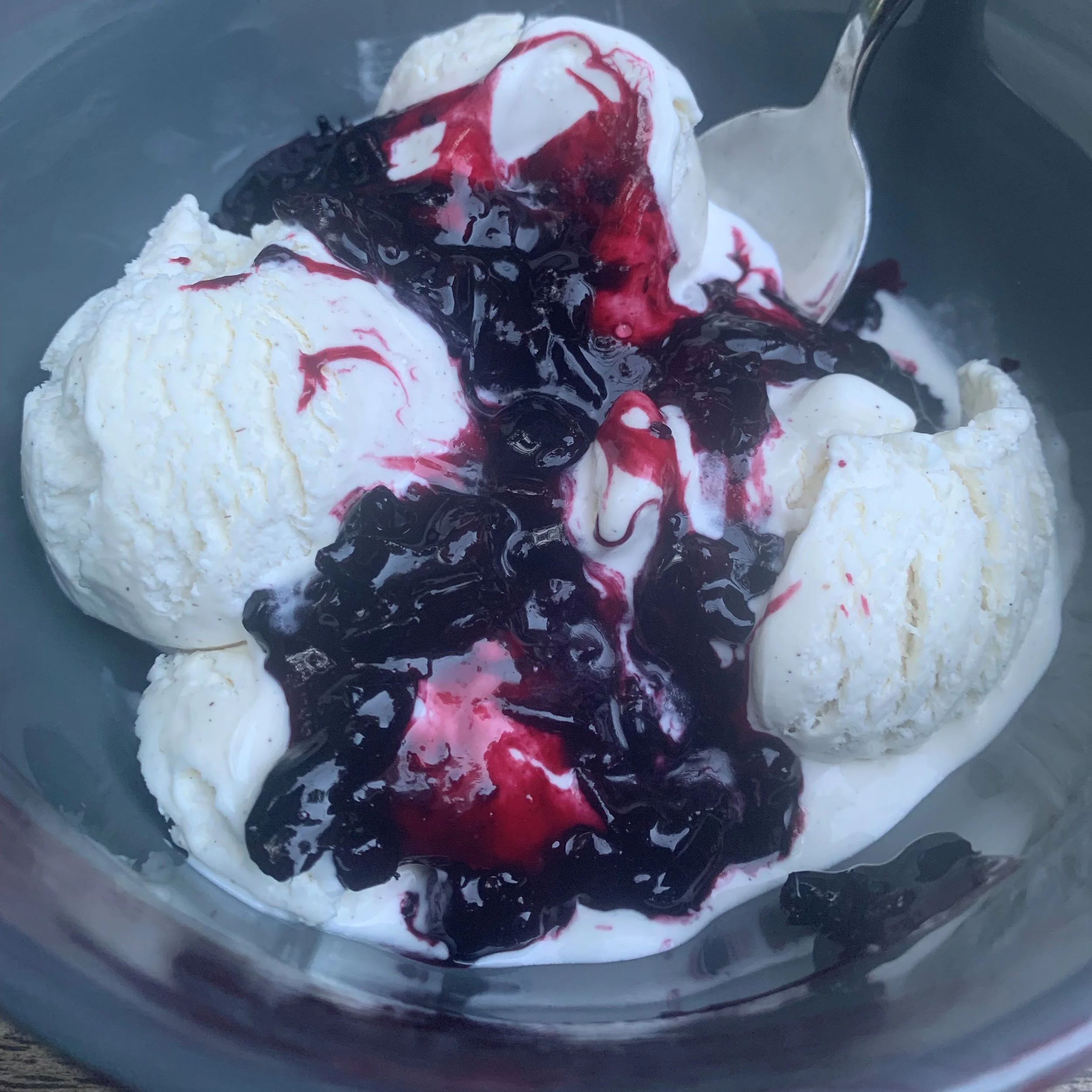 Aronia Berry Wojapi Recipe — Home Orchard Education Center