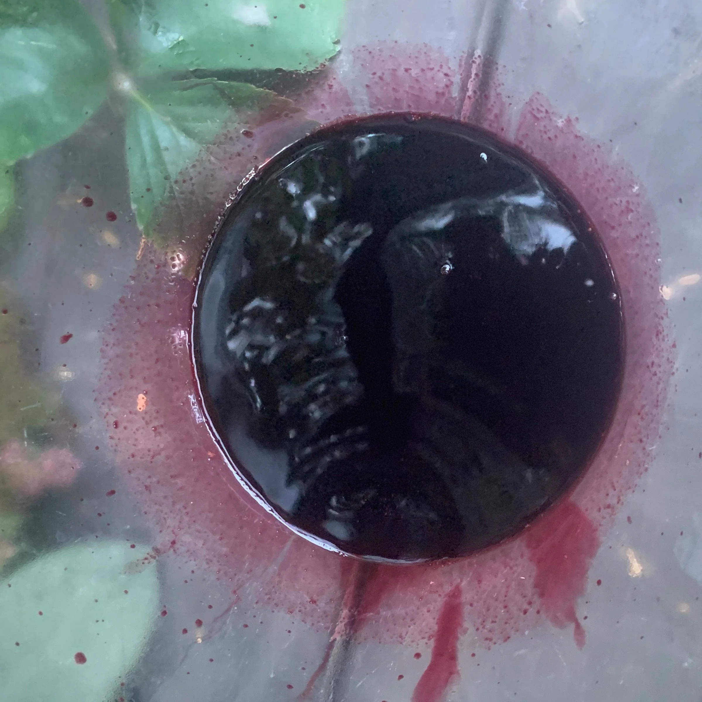 Aronia Berry Wojapi Recipe — Home Orchard Education Center