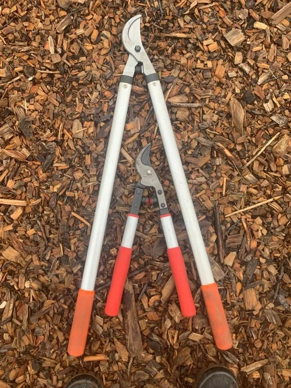 An Orchardist’s Tool Kit — Home Orchard Education Center