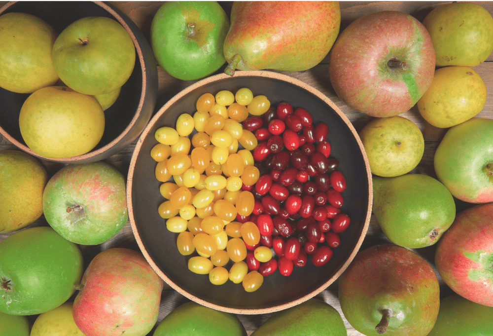 Organic Orchard CSA Subscriptions — Home Orchard Education Center