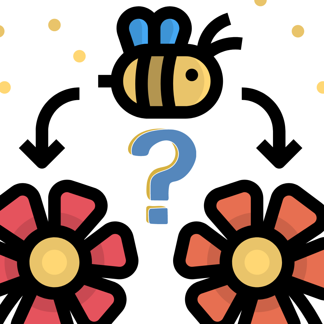 Pick A Peck Of Pretty Persimmons — Home Orchard Education Center