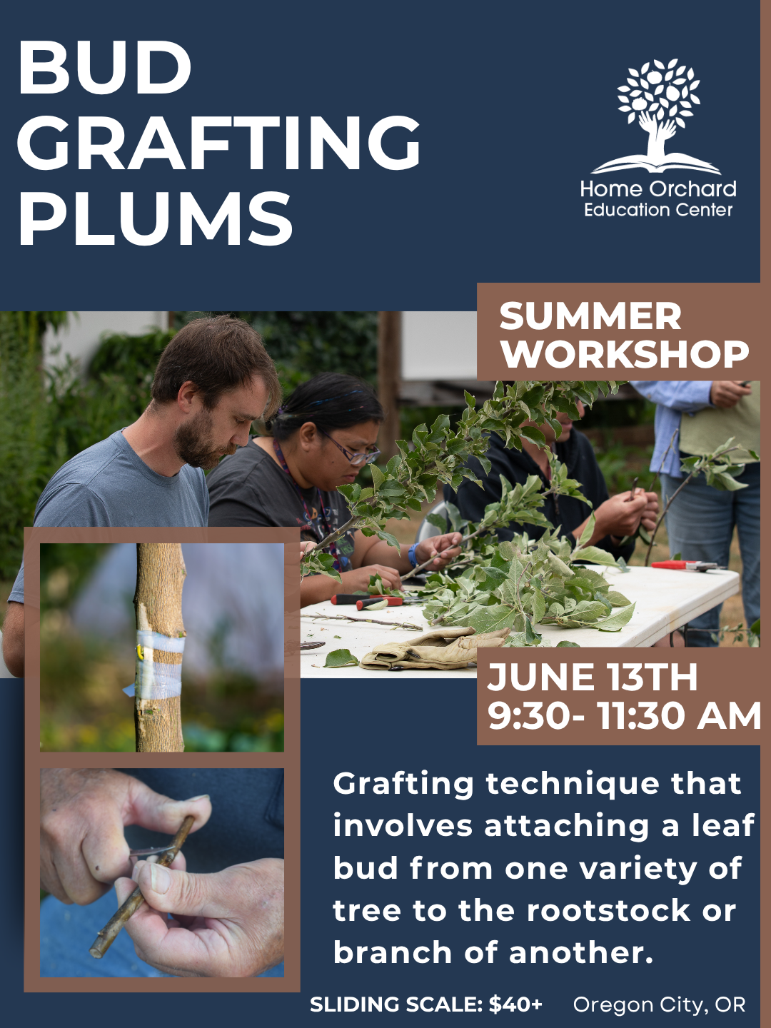 Workshop: Bud Grafting & Take Home A Tree! — Home Orchard Education Center