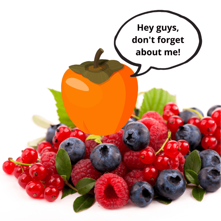 Pick A Peck Of Pretty Persimmons — Home Orchard Education Center