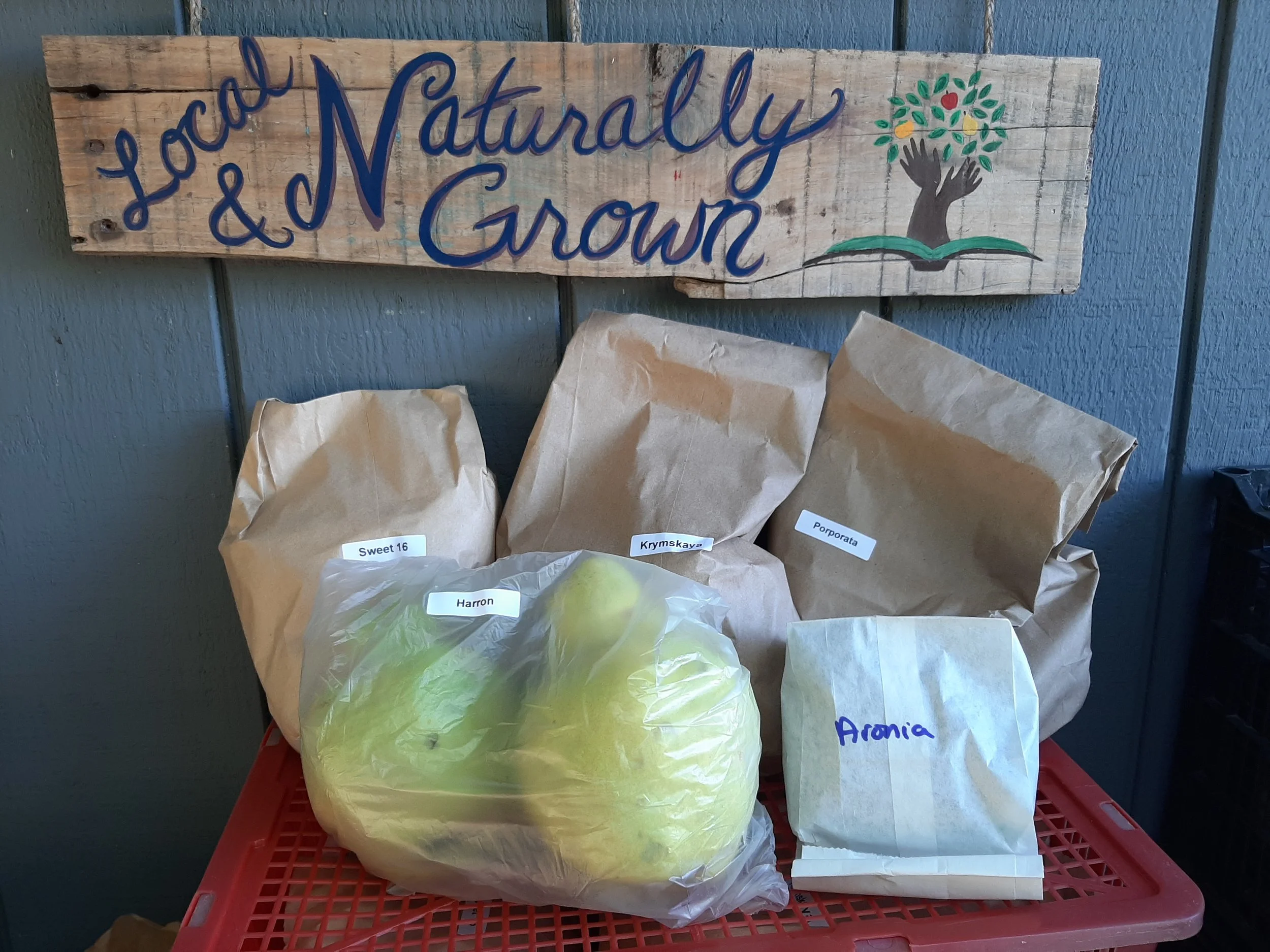 Orchard CSA — Home Orchard Education Center