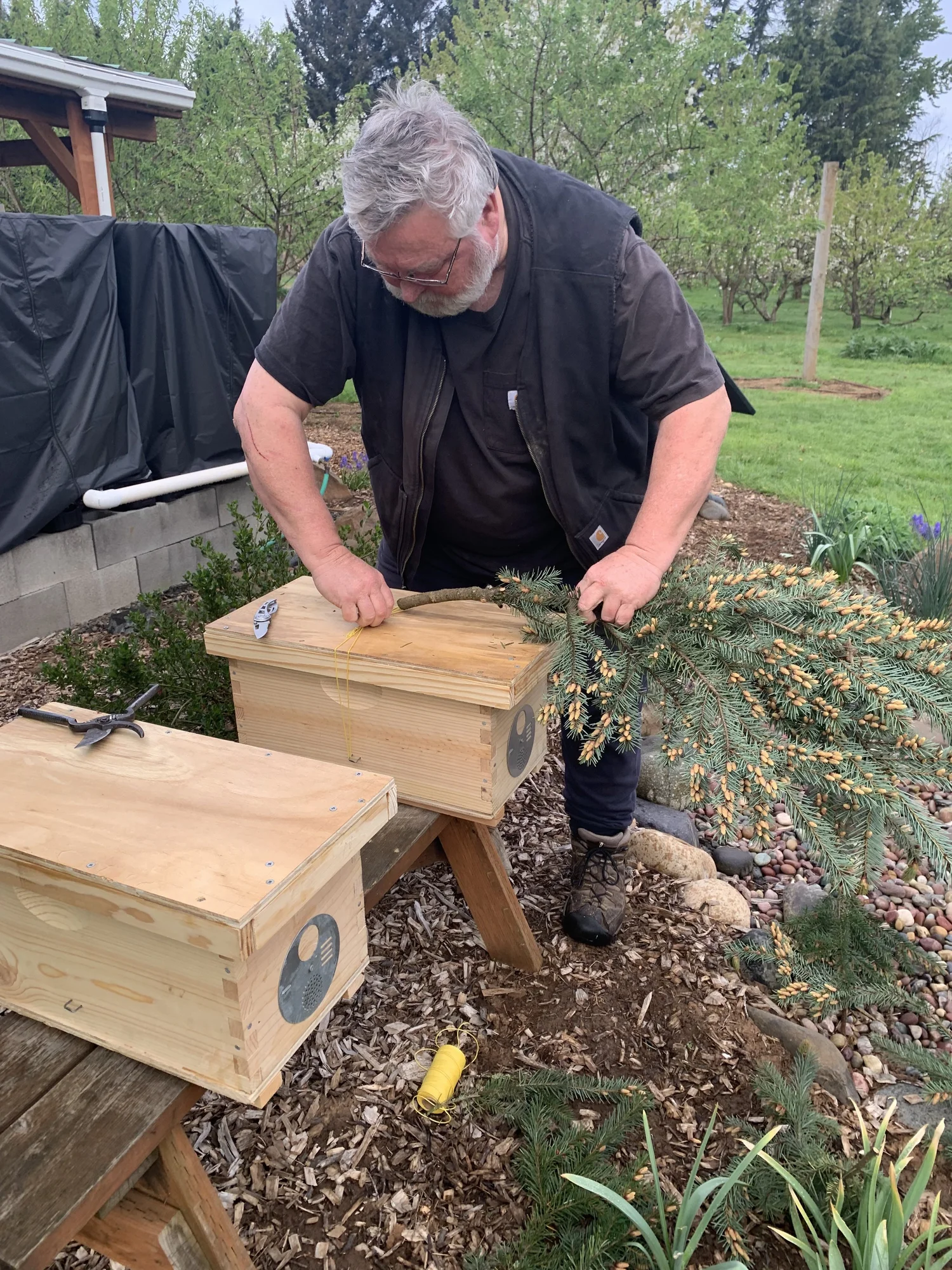 Honey Bee Colony Divide & Swarm Prevention! — Home Orchard Education Center