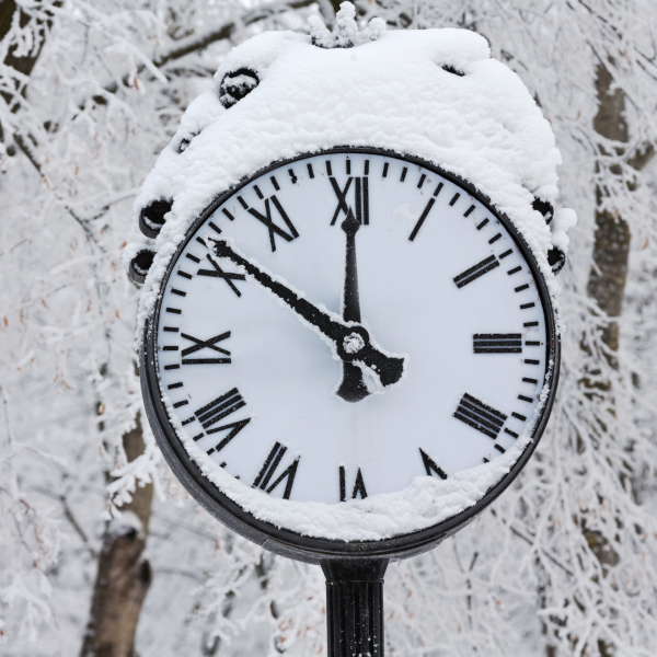 Fruit Buds And Floating Apples! — Home Orchard Education Center