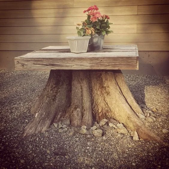 Tree Stump Beautifully Repurposed to a Table — Trellis Group