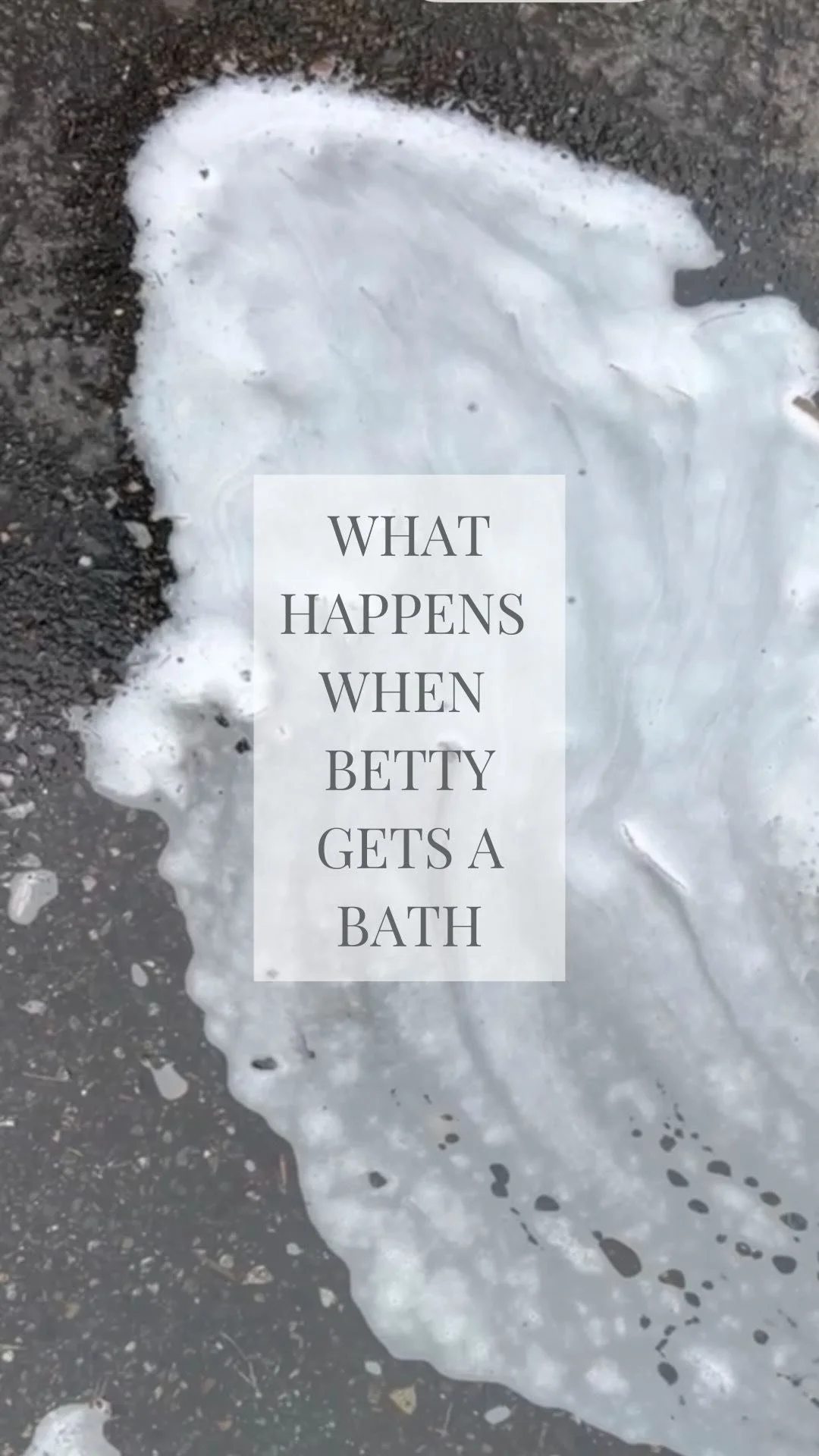 Is Now a Good Time To Sell? — Trellis Group