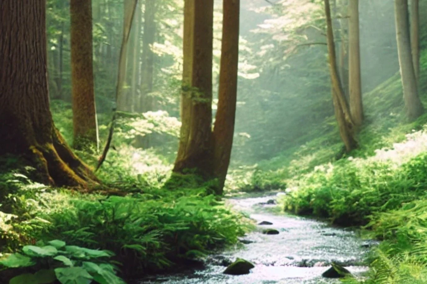 Calendar — Psychic Kindergarten