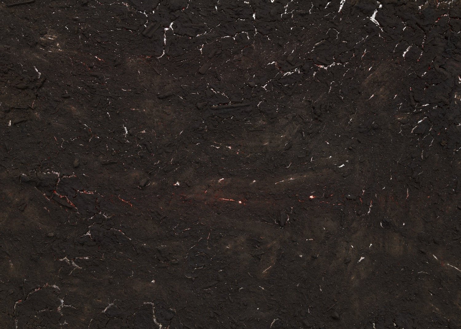 Kiyan Williams - Un/earthing — Lyles & King