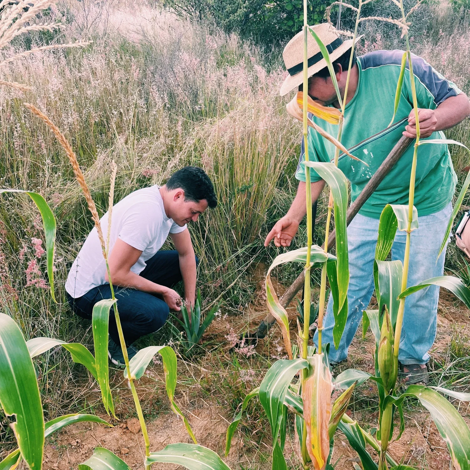 A Mezcal Guide to Oaxaca — No Maps or Foot Tracks