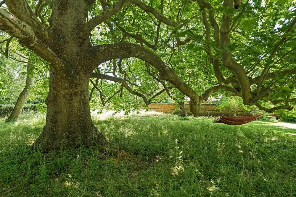 Photoshoot Location Agency UK Peagreen Locations | Lifestyle Photoshoot ...